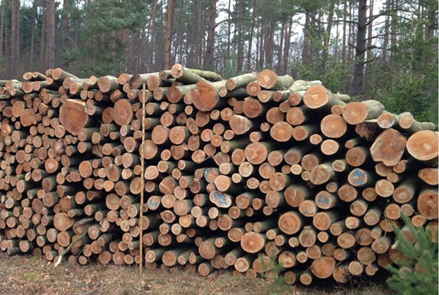 Brennholz - Bockelmann-Holz GmbH